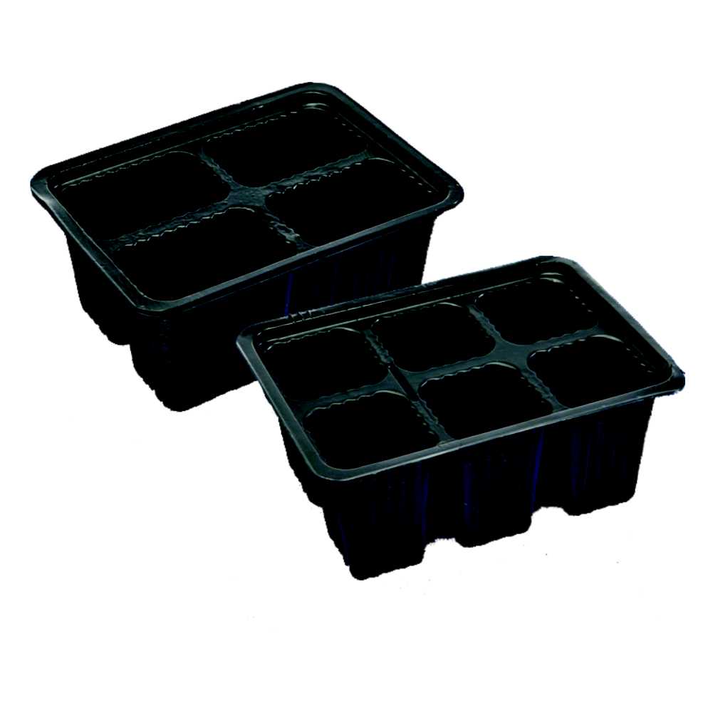 S Range Punnets - Egmont Commercial