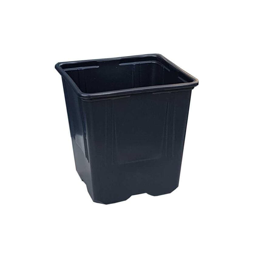TEKU Square 11cm (11x11x12) - Egmont Commercial