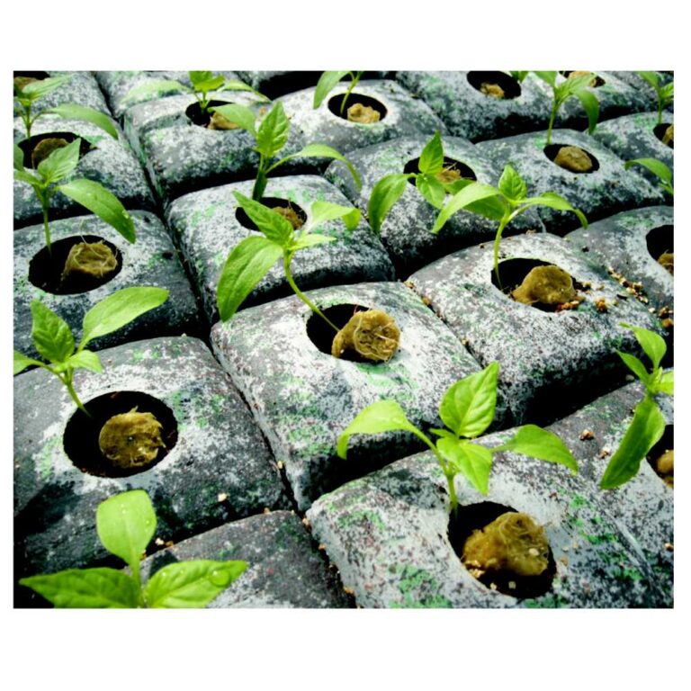 Jiffy Grow Block - Egmont Commercial