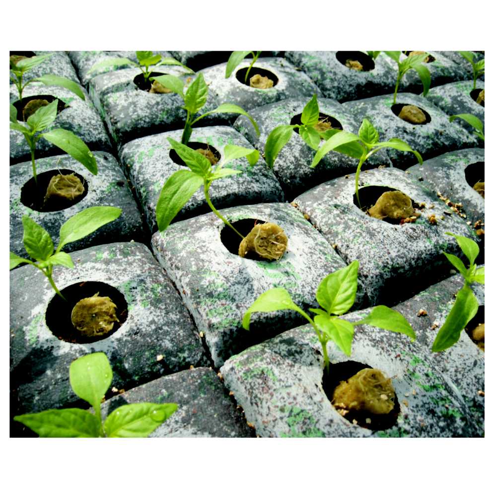 Jiffy Grow Block - Egmont Commercial