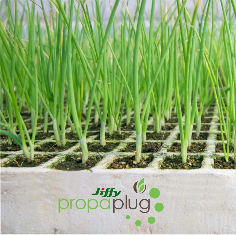 Jiffy Preforma Products - Egmont Commercial