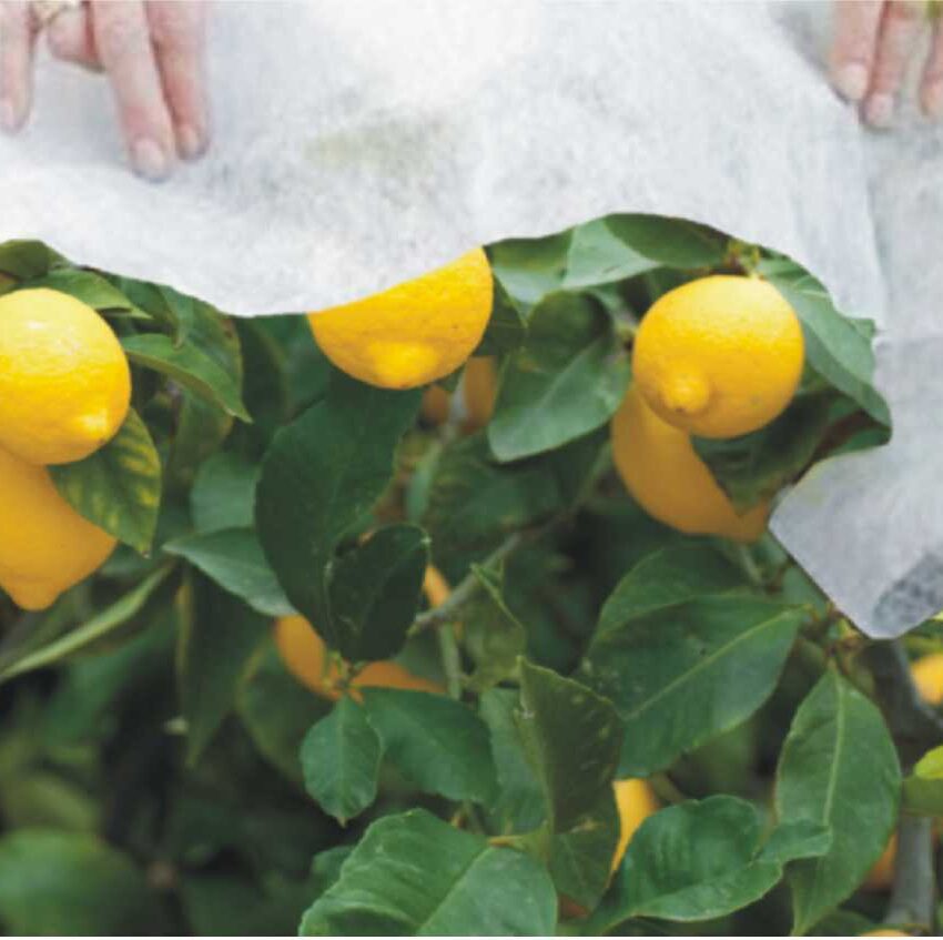 Retail Frost Cloth 1.6m x 10m. 30gsm. - Egmont Commercial