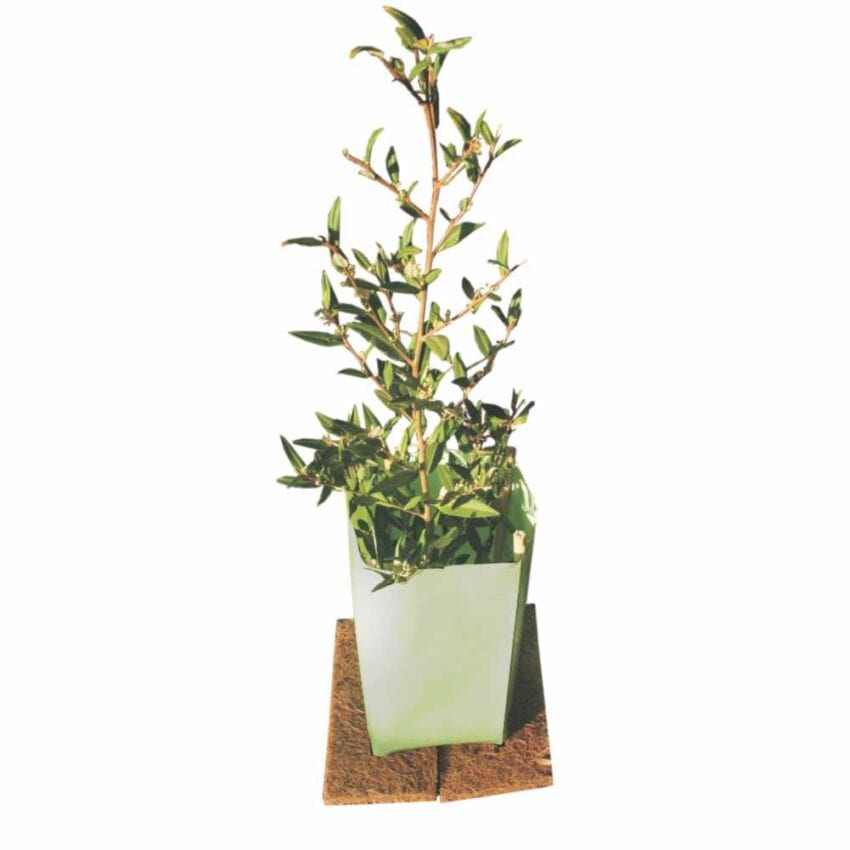 Egmont Plant Guard Combo's - Egmont Commercial