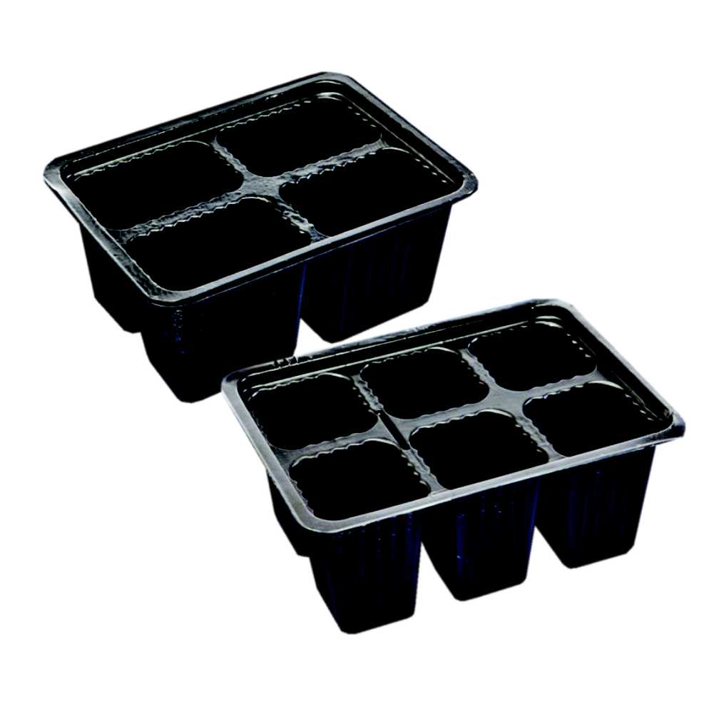 F Range Punnet - Egmont Commercial