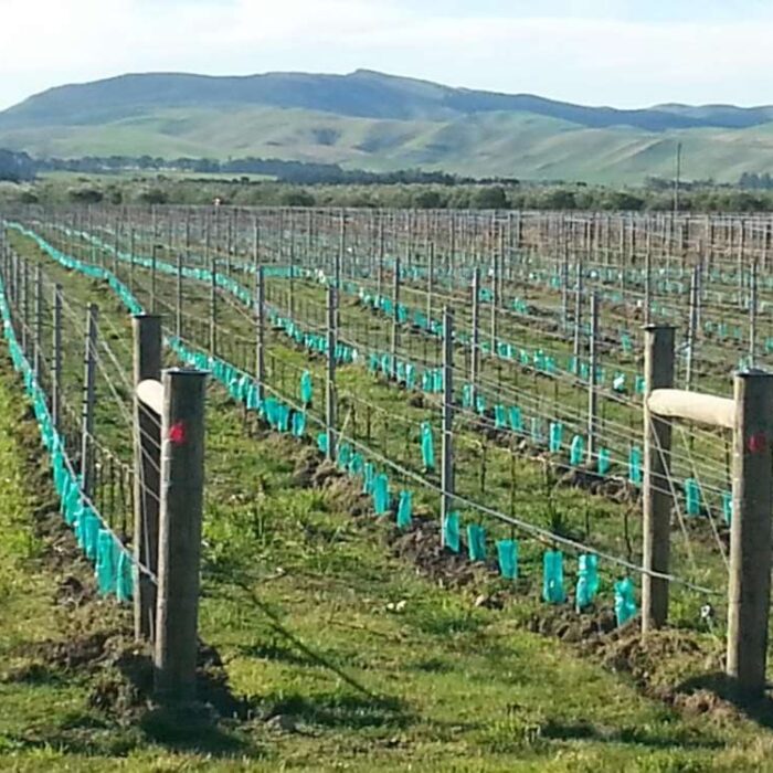 Spray Guards - Egmont Commercial