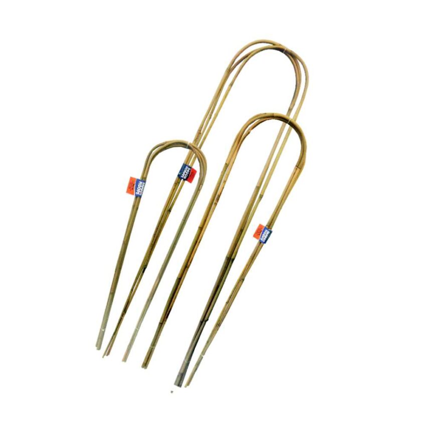 Retail Natural Cane Hoops - Egmont Commercial