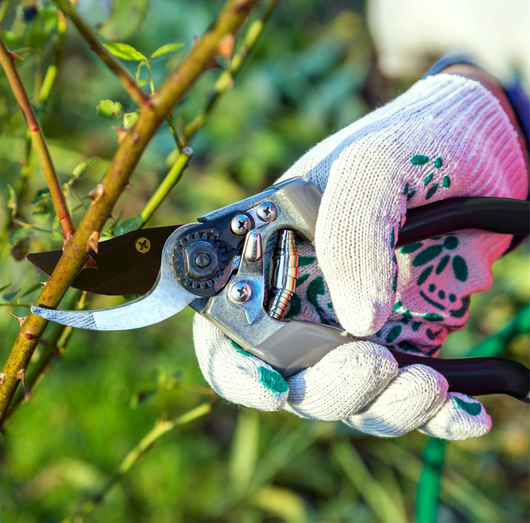 Retail Secateurs Foam Grip - Egmont Commercial