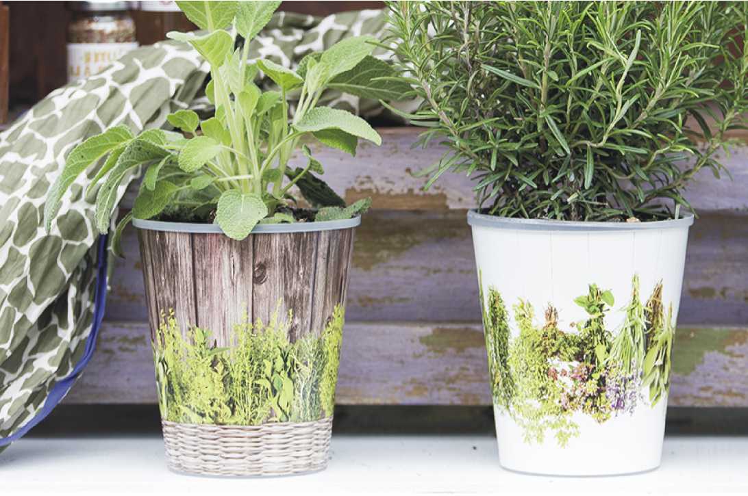 Teku Printed Pots - Egmont Commercial