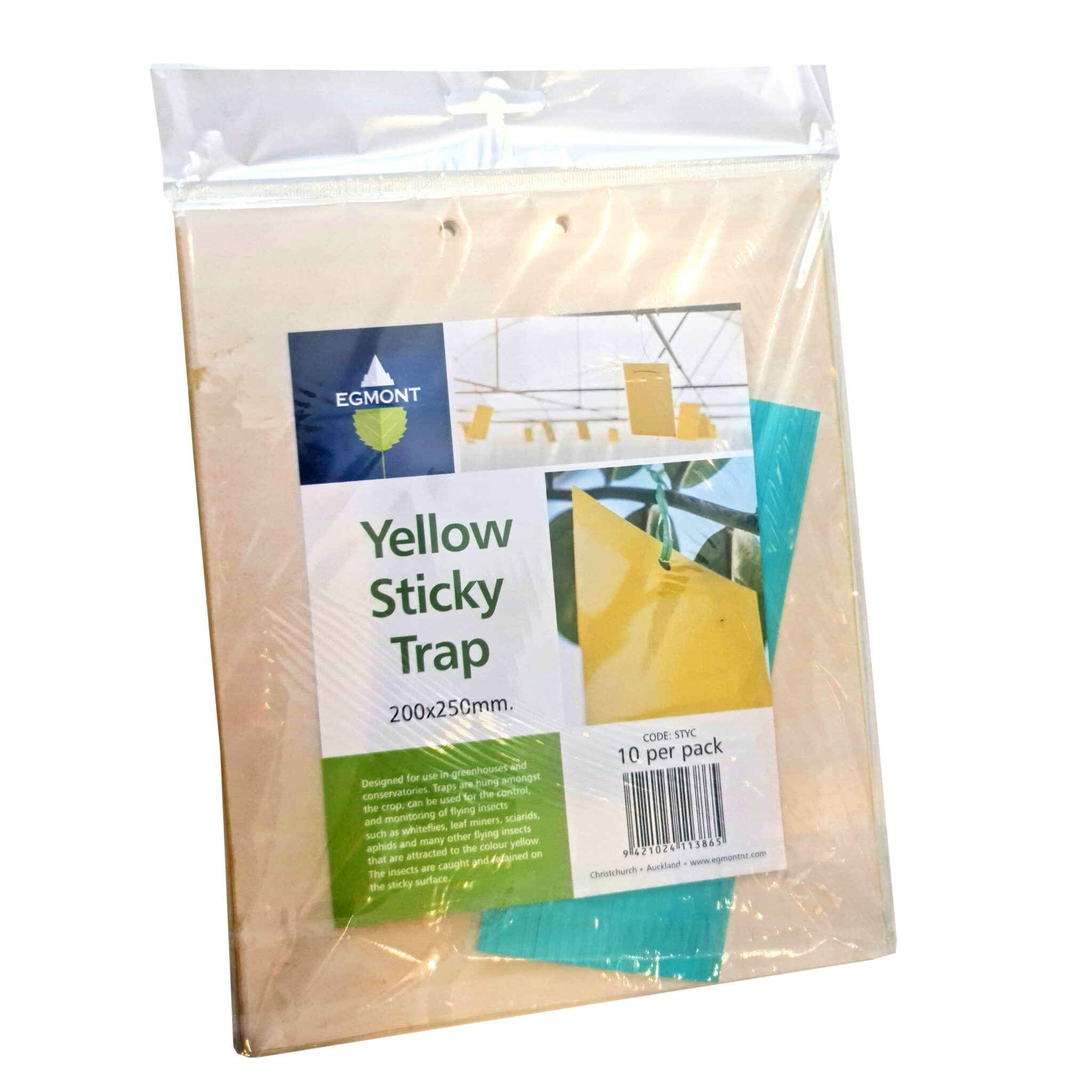 Sticky Traps (20cm x 25cm) - 10 pack - Egmont Commercial
