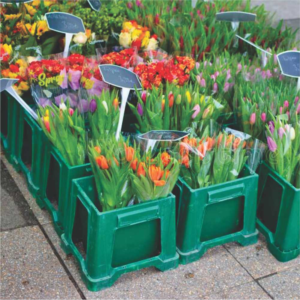 Square White Flower Bucket - Egmont Commercial