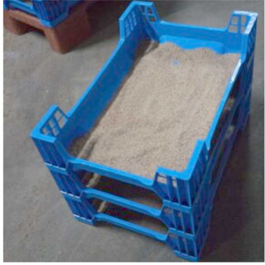 Insect Breeding Box - Egmont Commercial