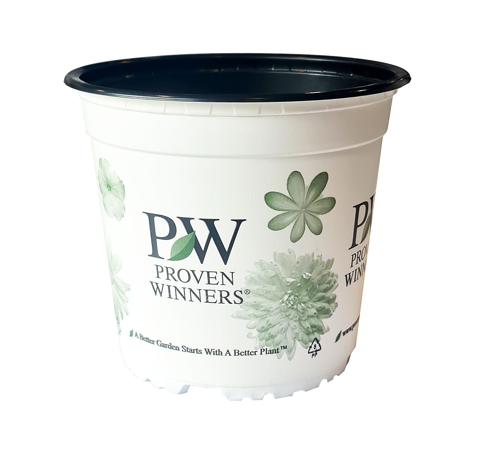 Proven Winners - Printed Pots TVCH15 (Pallet) - Egmont Commercial