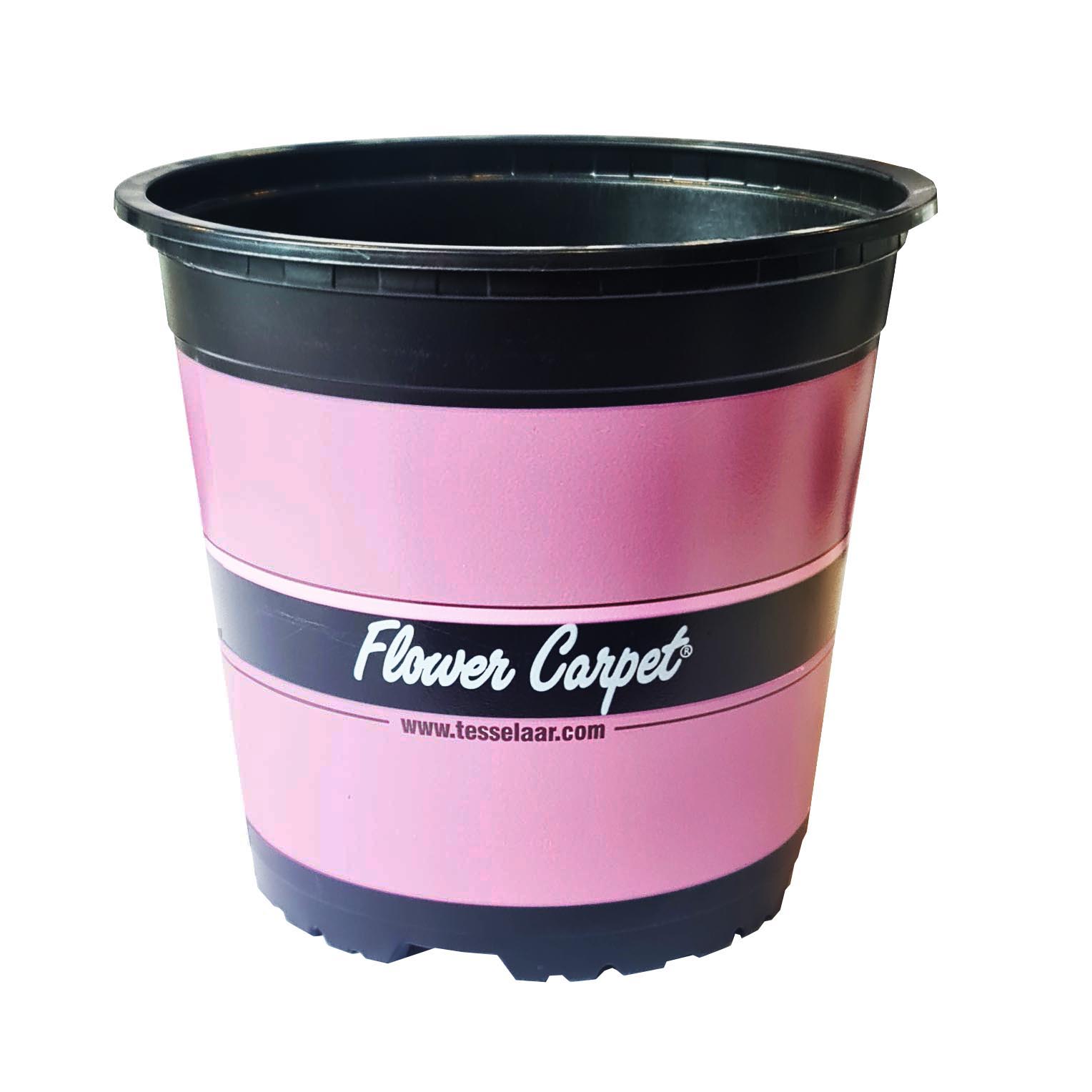Flower Carpet - Printed Flower Pots TVCH17 (Pallet) - Egmont Commercial