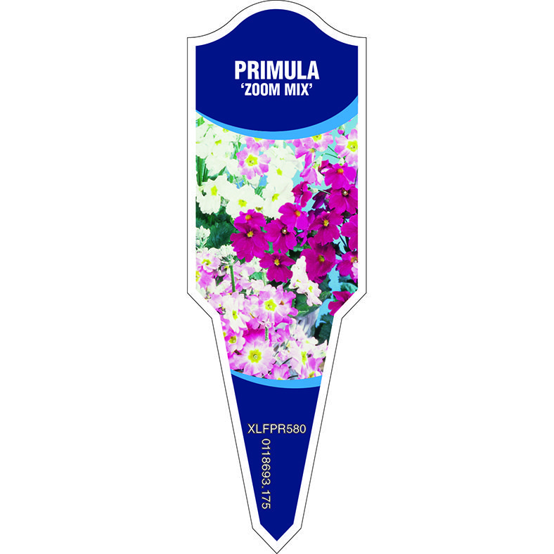 PRIMULA Zoom Mix - Egmont Commercial