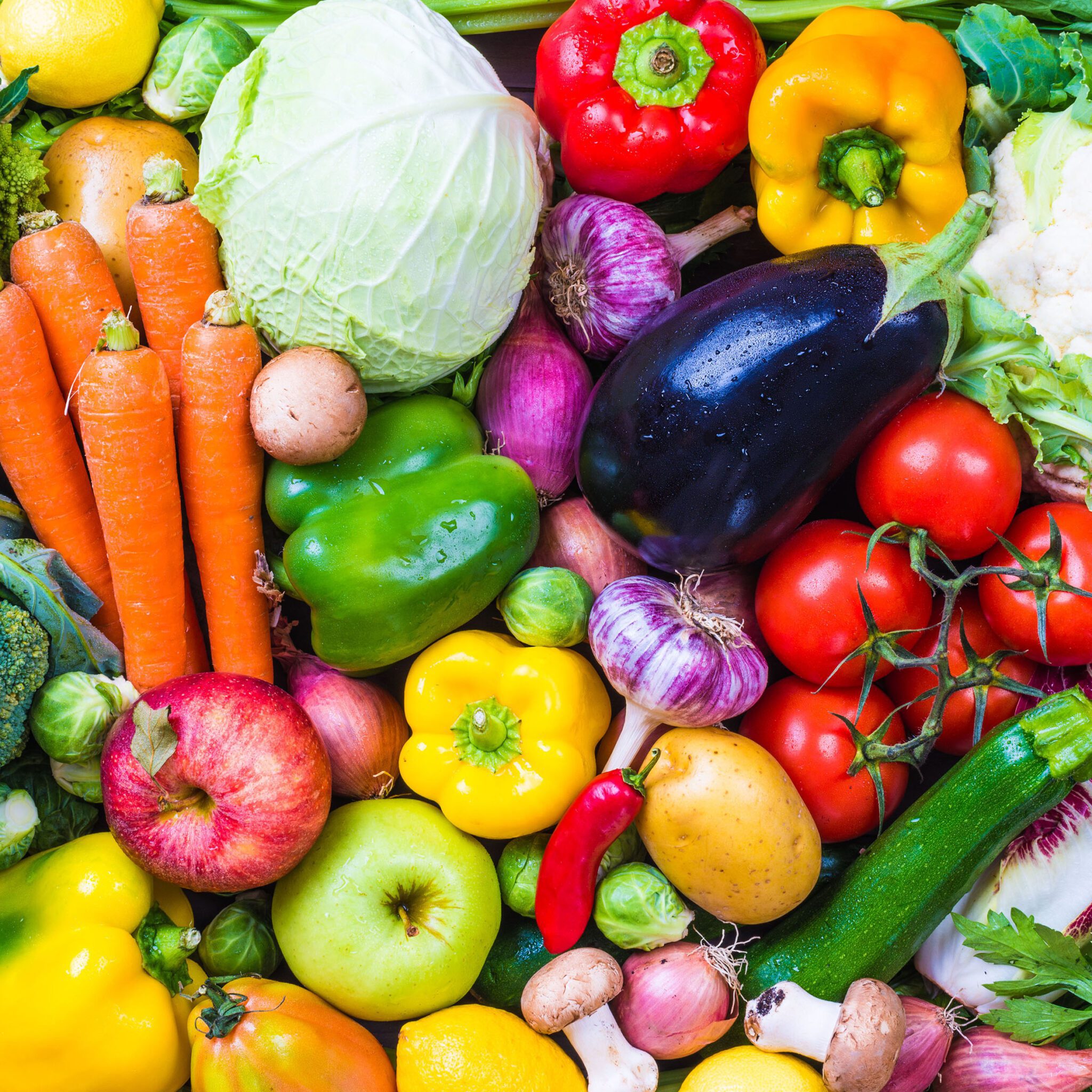 Labels Printed: Flowers, Vegetables and Herbs Products - Egmont Commercial