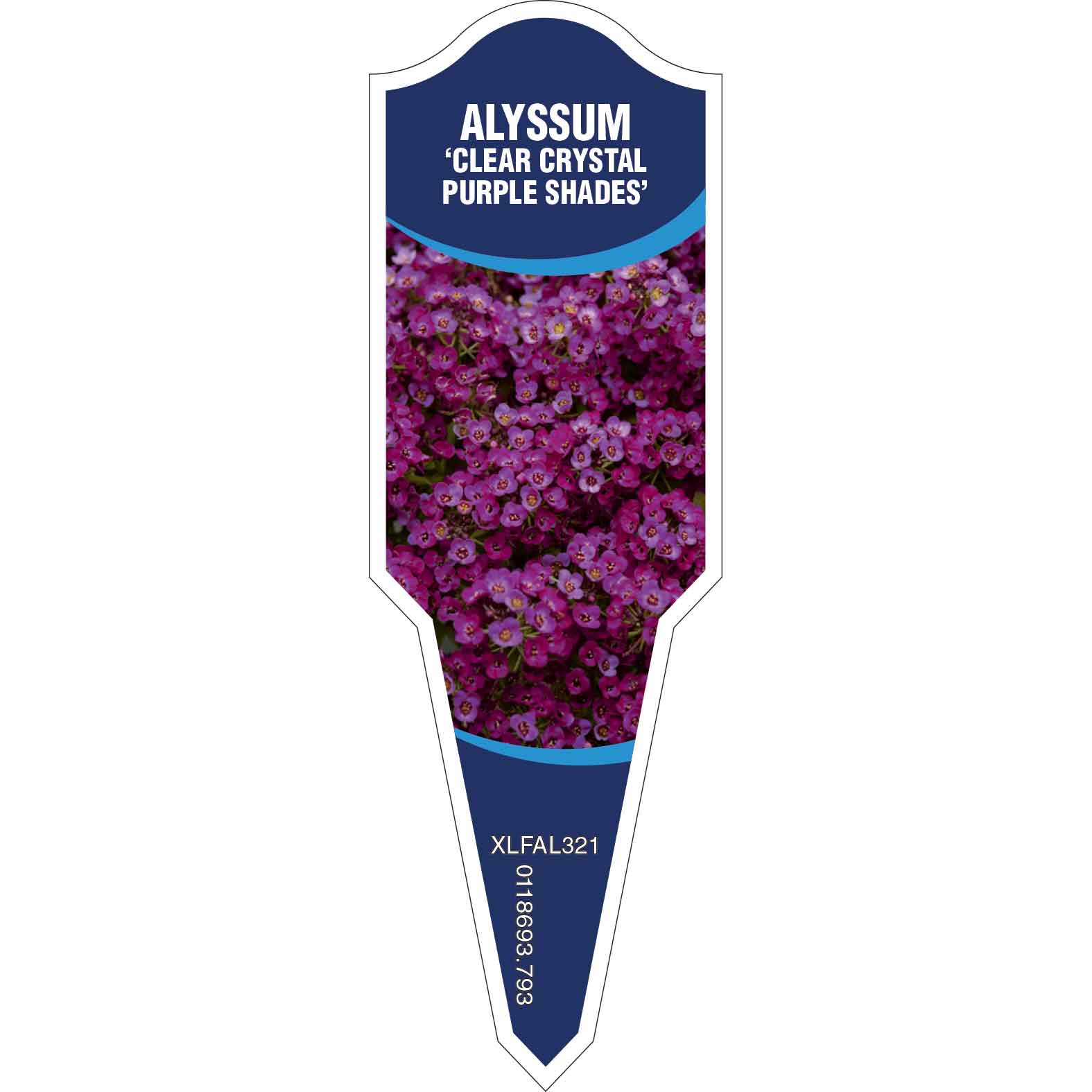 ALYSSUM Clear Crystal Purple - Egmont Commercial