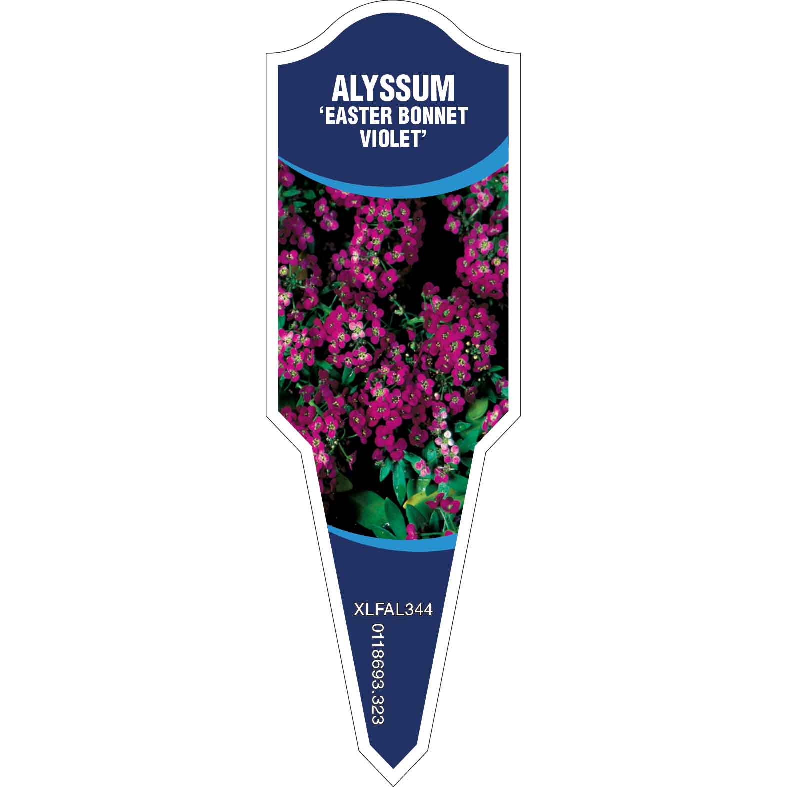 ALYSSUM Easter Bonnet Violet - Egmont Commercial