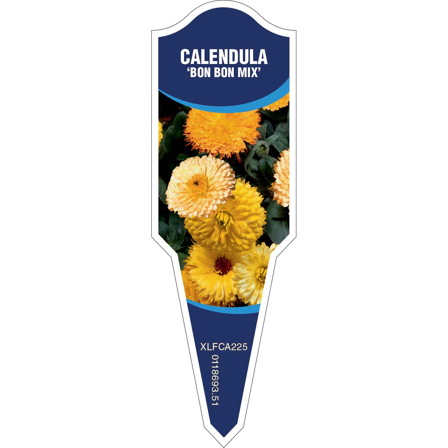 CALENDULA Bon Bon Mix - Egmont Commercial