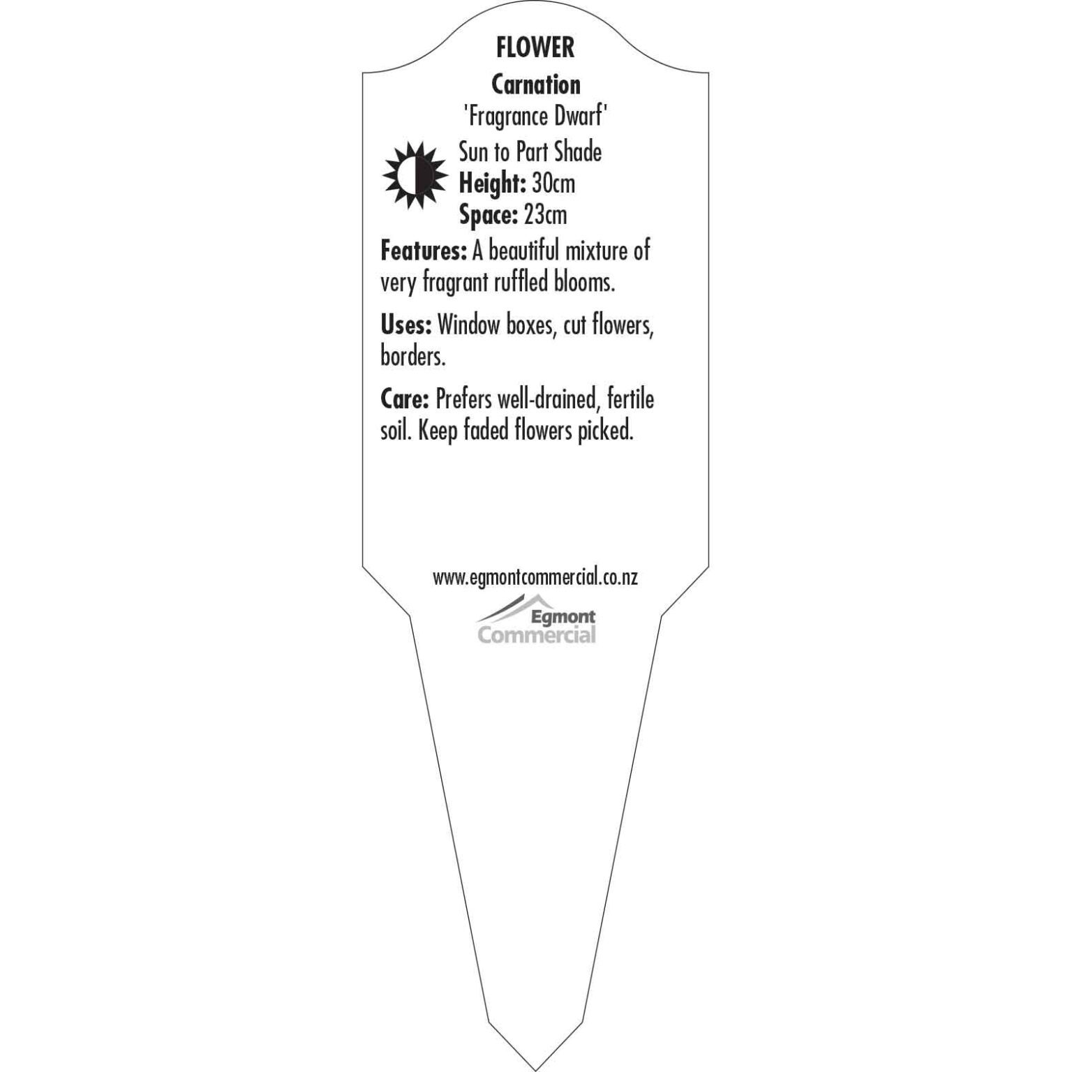 CARNATION Dwarf Fragrance Mix - Egmont Commercial