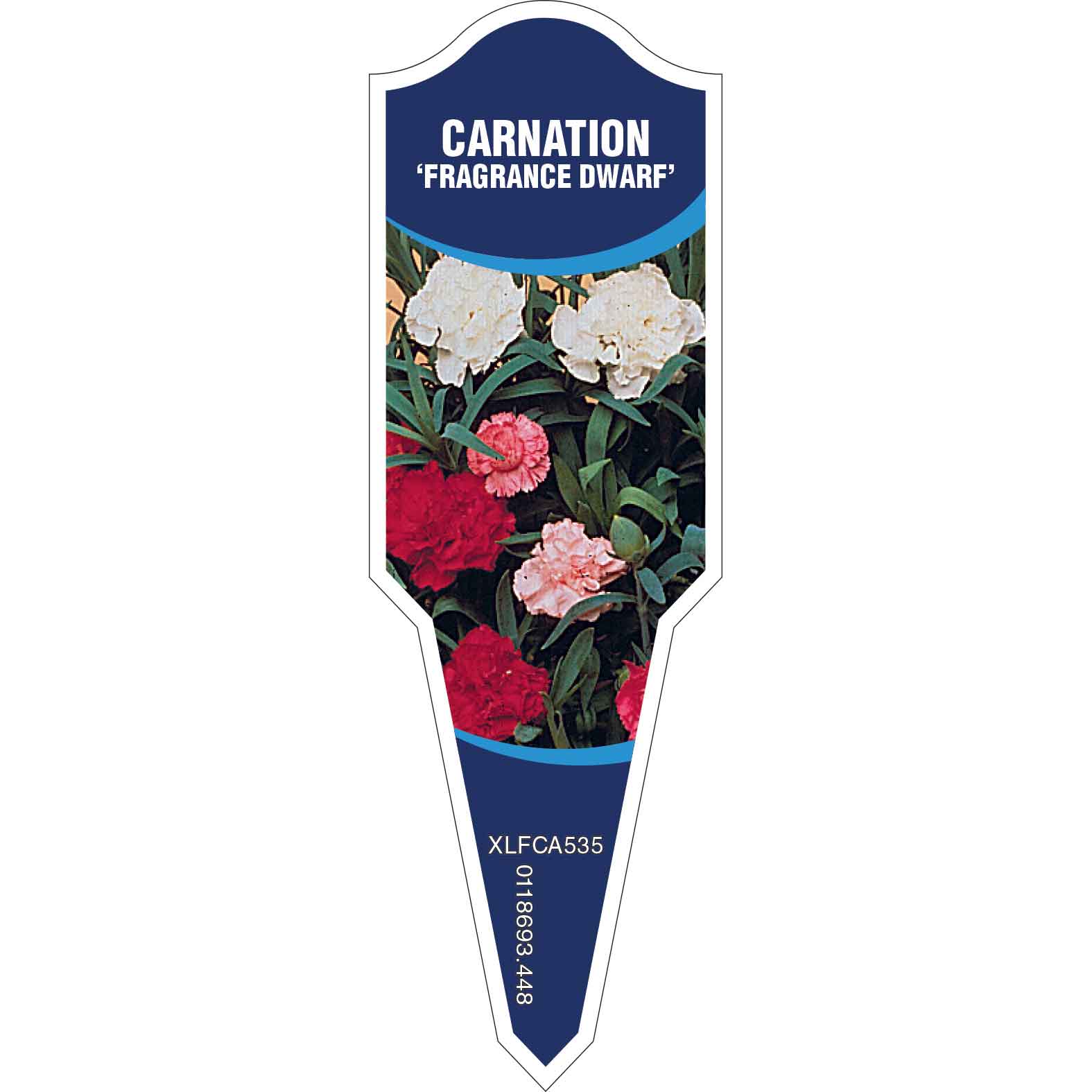 CARNATION Dwarf Fragrance Mix - Egmont Commercial