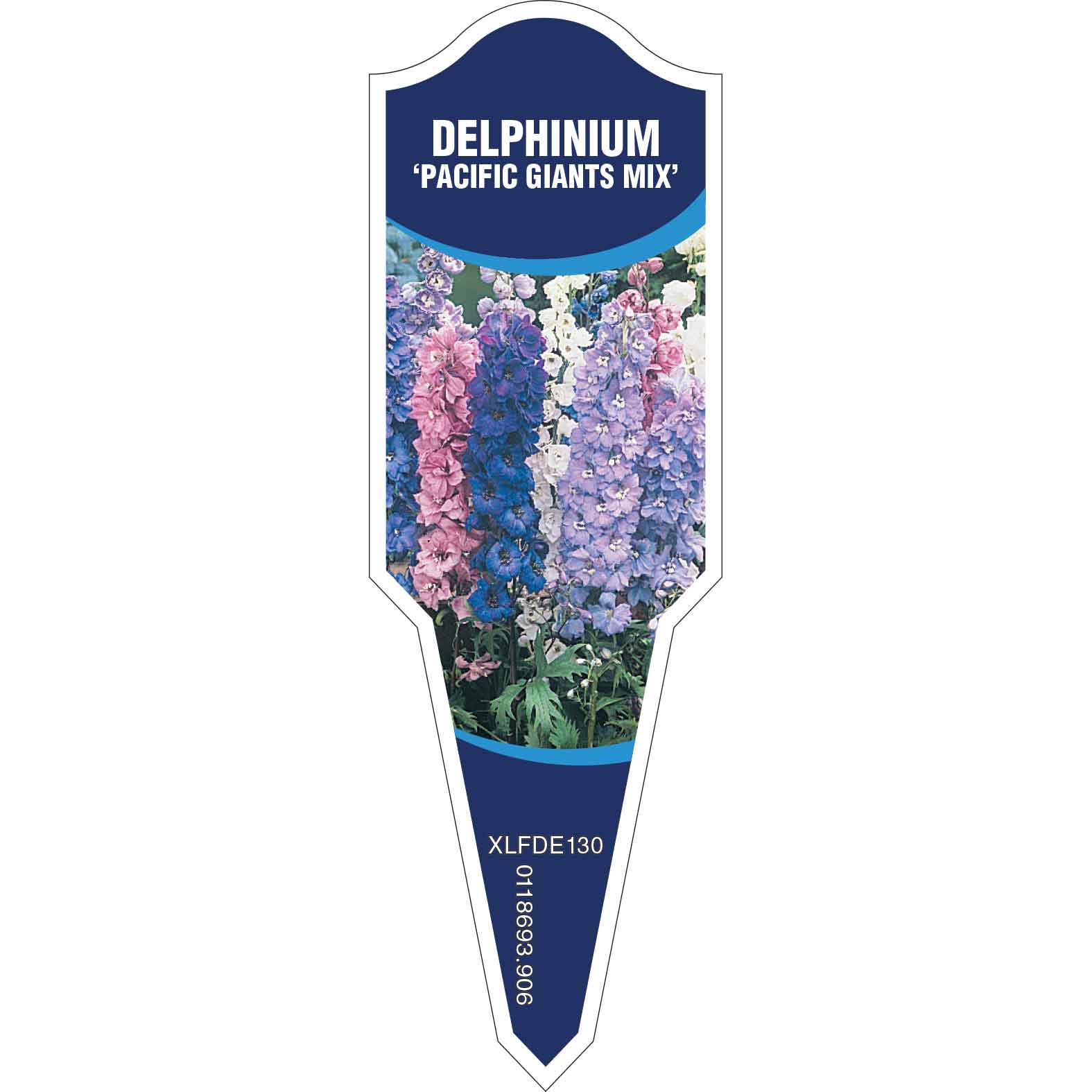 DELPHINIUM Pacific Giants Mix - Egmont Commercial