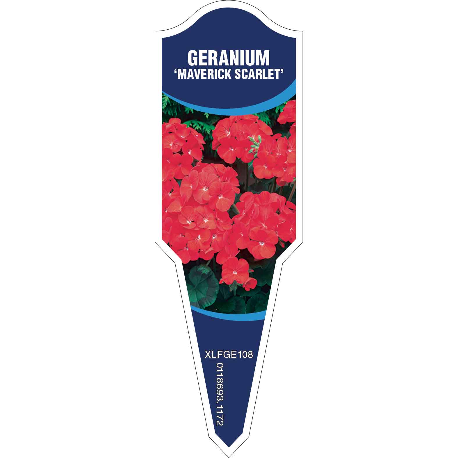 GERANIUM Maverick Scarlet - Egmont Commercial