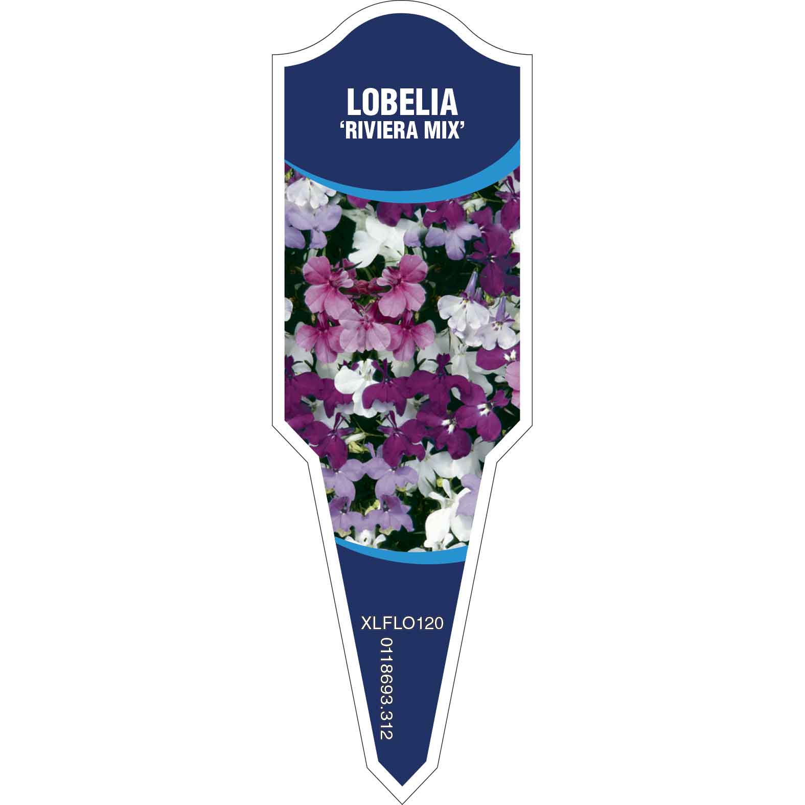 LOBELIA Riviera Mix - Egmont Commercial