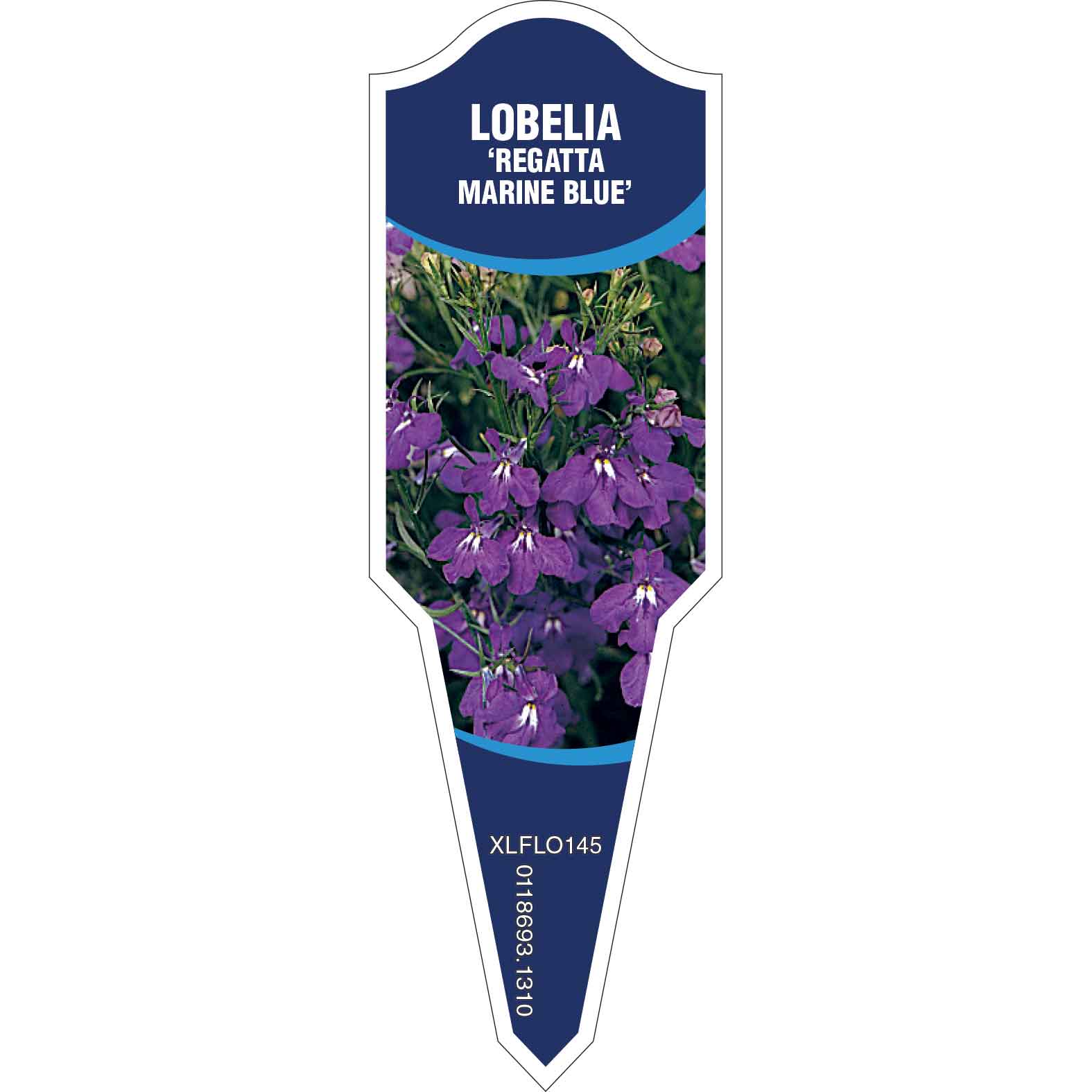 LOBELIA Regatta Marine Blue - Egmont Commercial