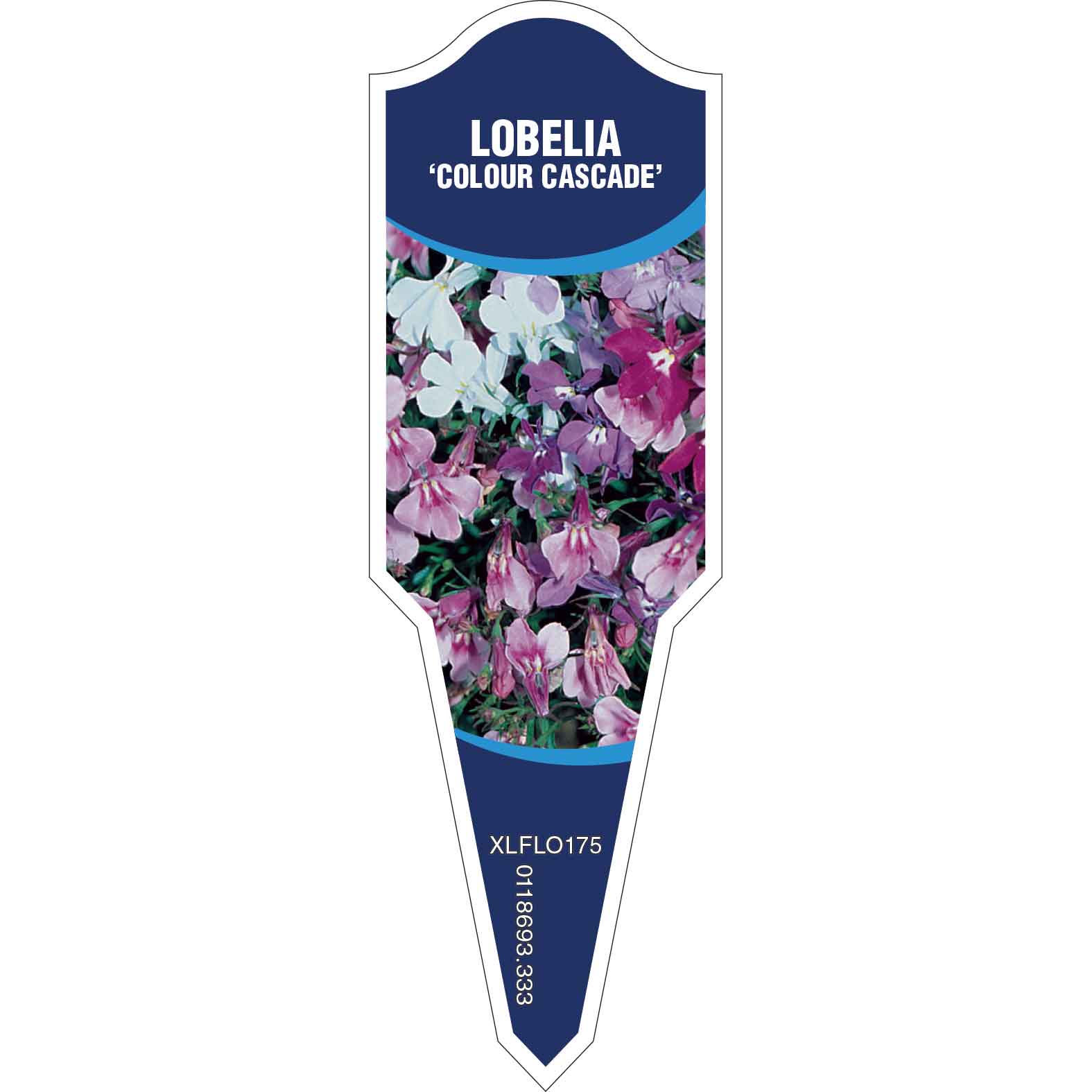 LOBELIA Colour Cascade Mix - Egmont Commercial