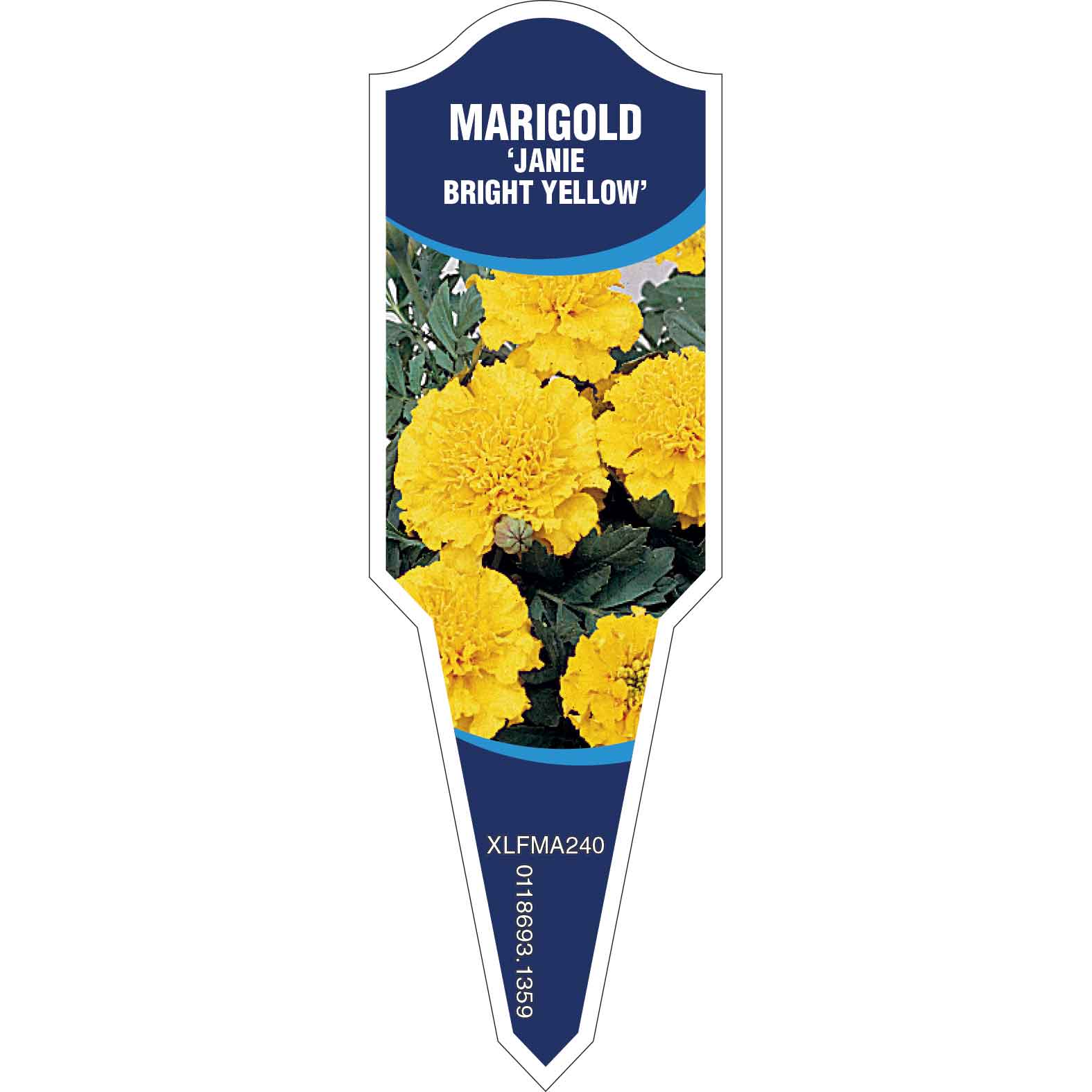 MARIGOLD Janie Bright Yellow - Egmont Commercial