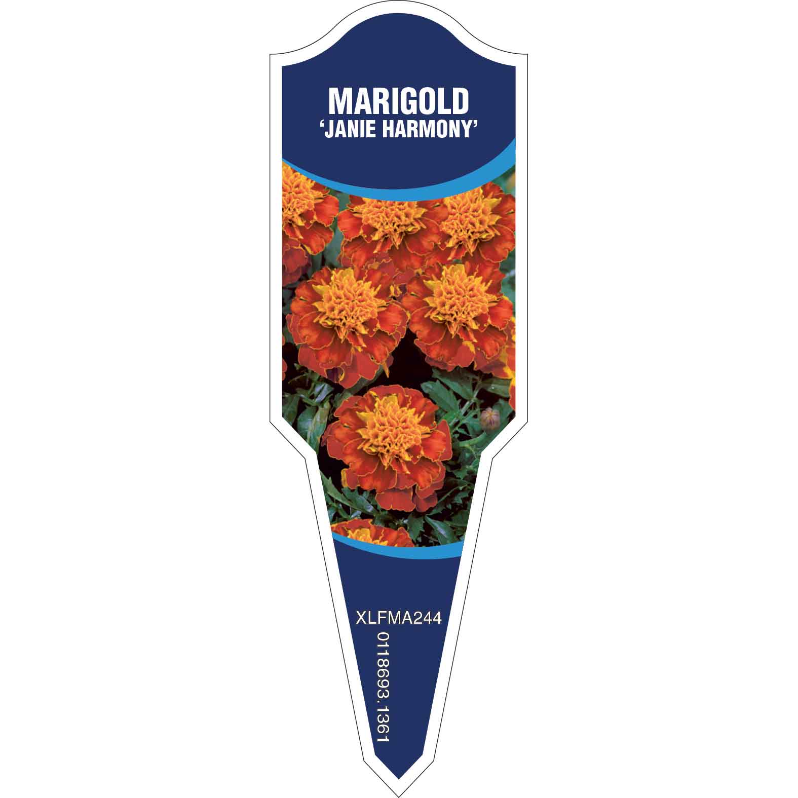 MARIGOLD Janie Harmony - Egmont Commercial