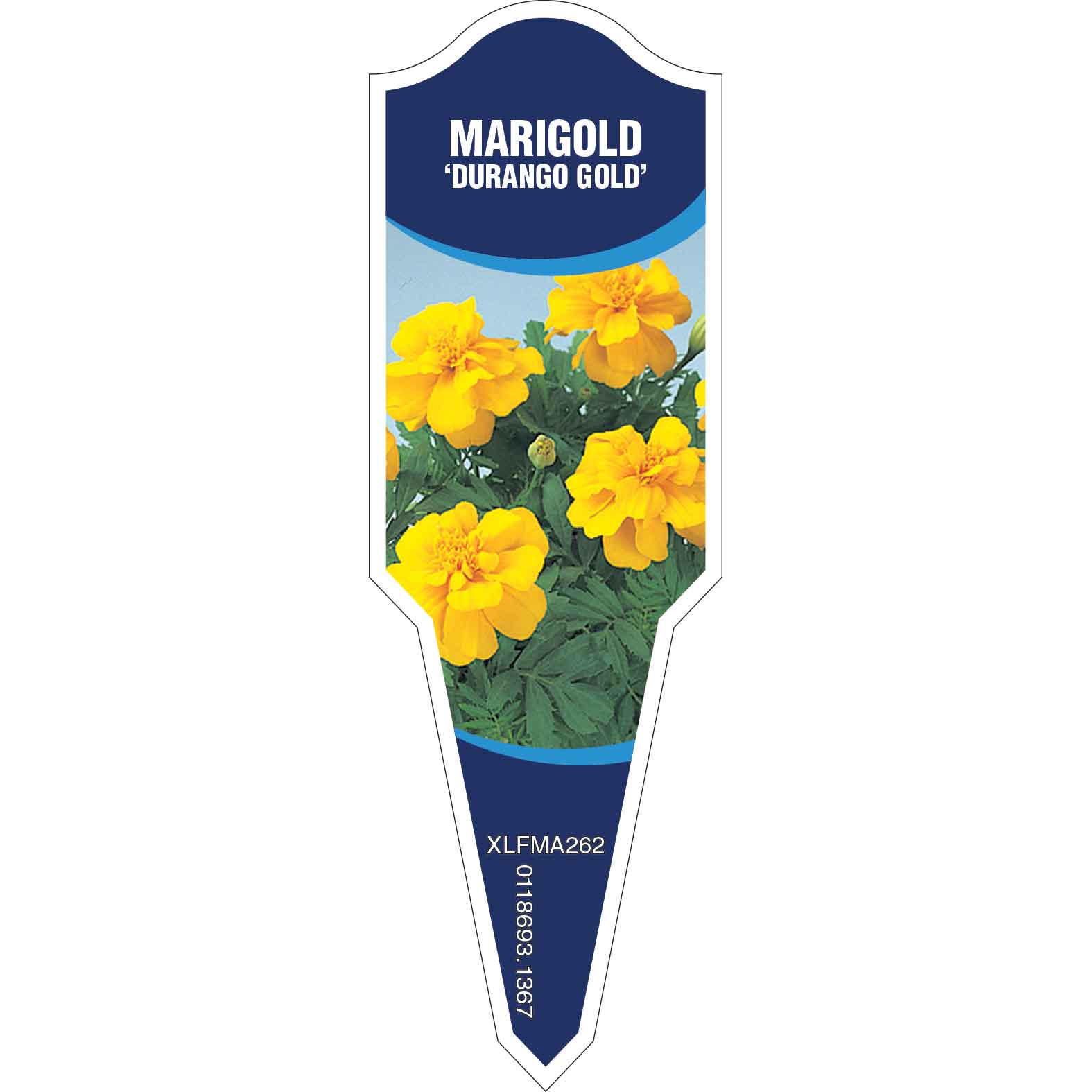 MARIGOLD Durango Gold - Egmont Commercial
