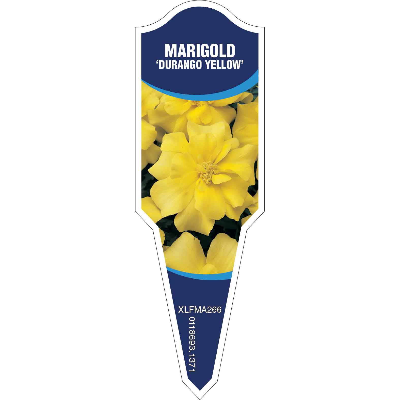 MARIGOLD Durango Yellow - Egmont Commercial