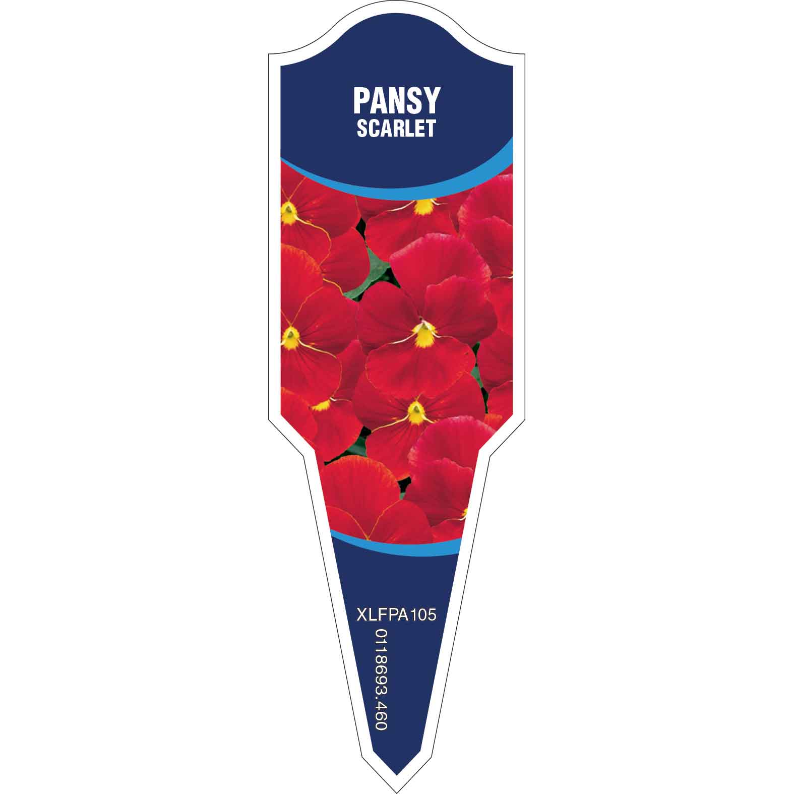 PANSY Scarlet - Egmont Commercial