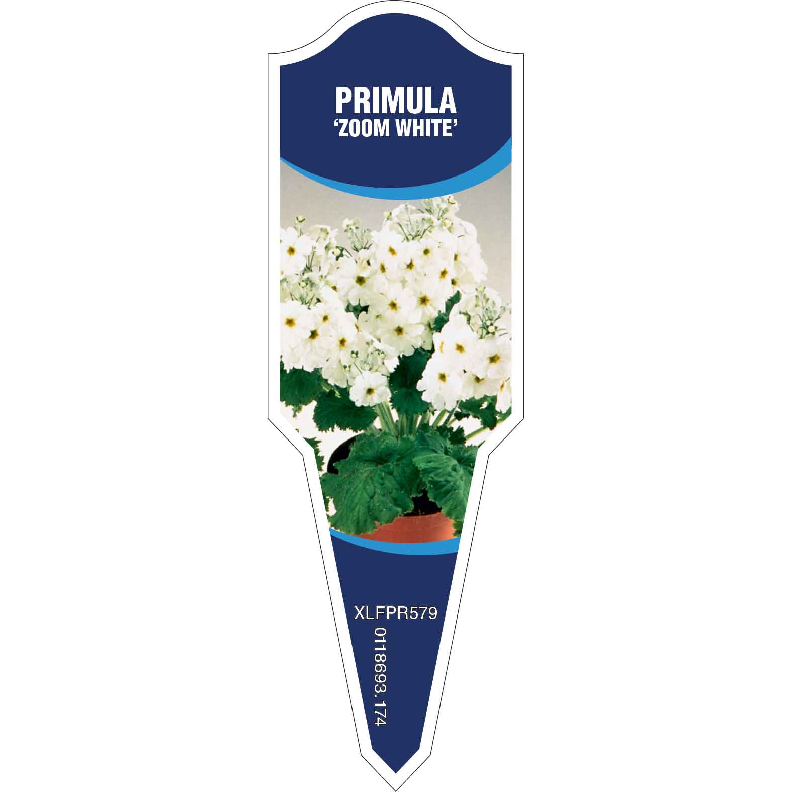 PRIMULA Zoom White - Egmont Commercial