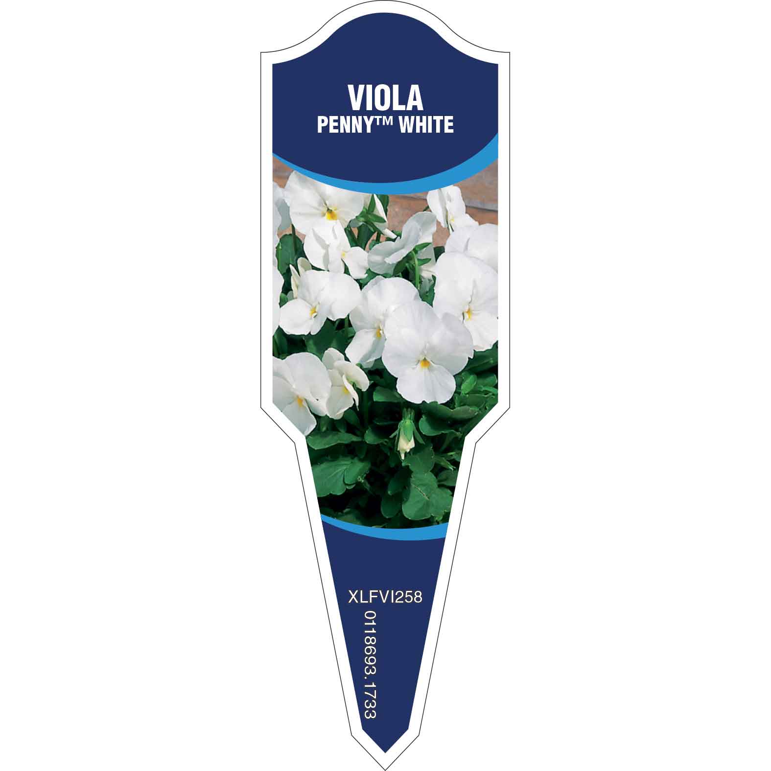 VIOLA Penny White - Egmont Commercial