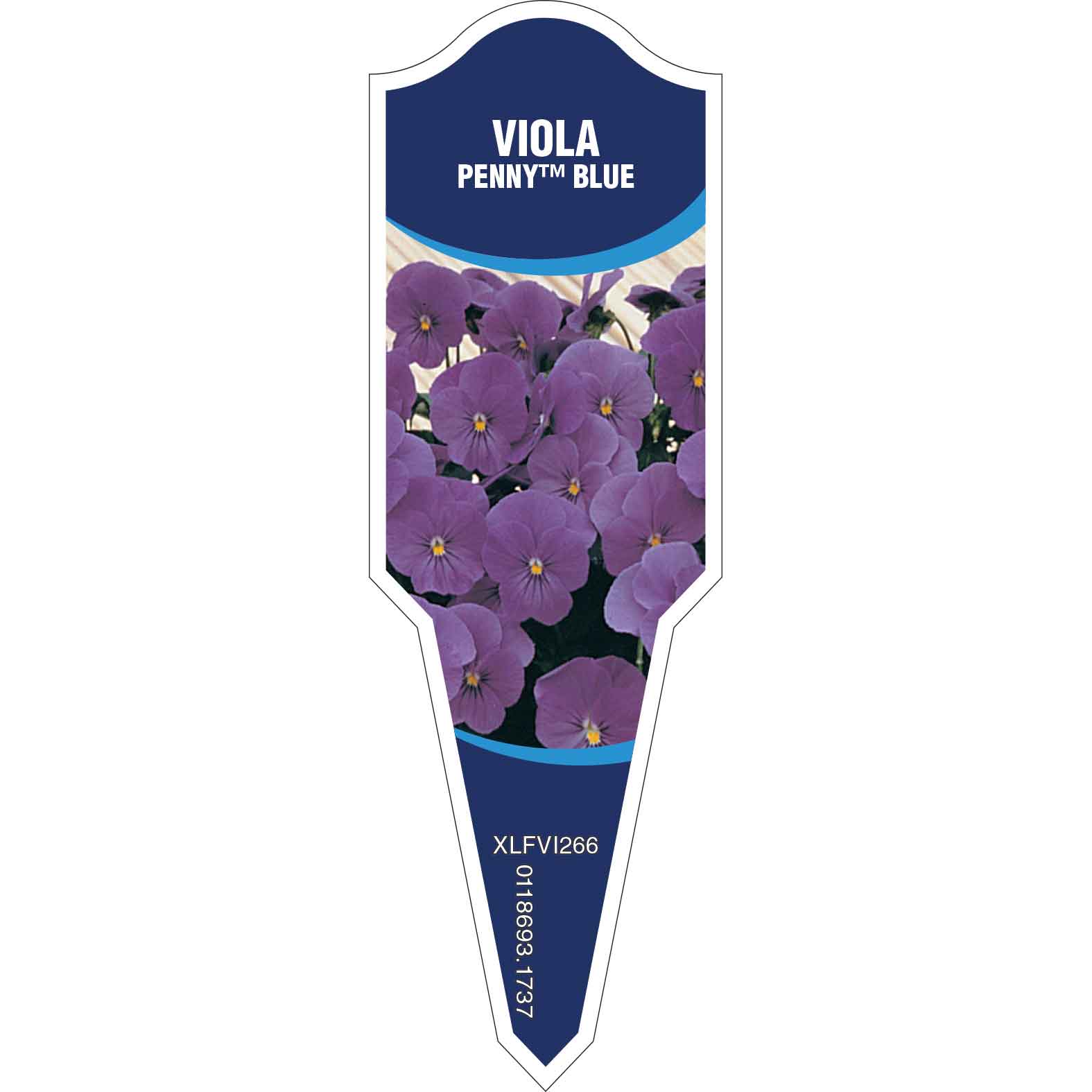 VIOLA Penny Blue - Egmont Commercial