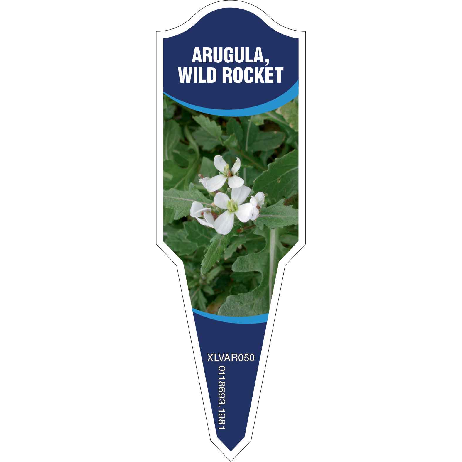 ARUGULA Wild Rocket - Egmont Commercial