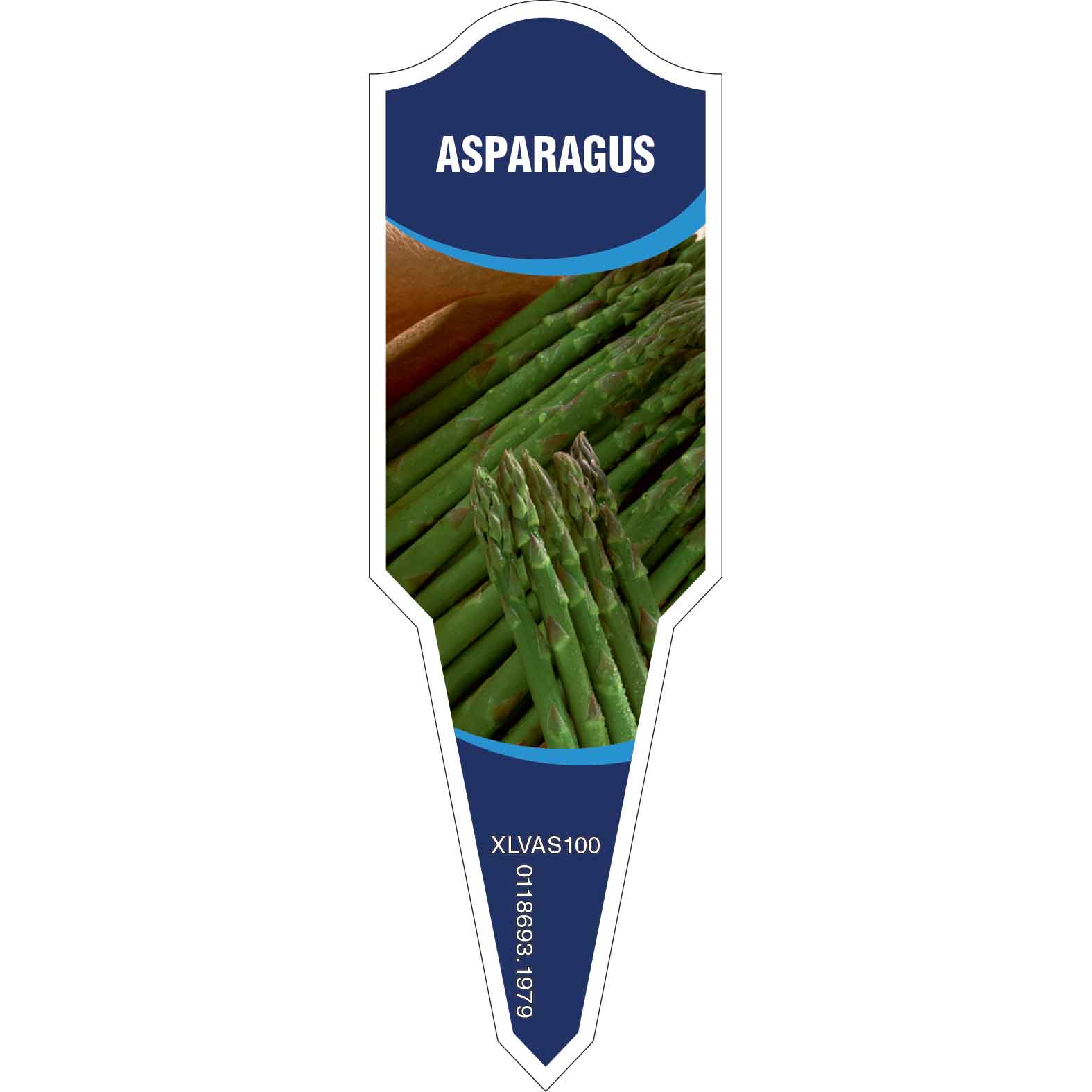 ASPARAGUS - Egmont Commercial