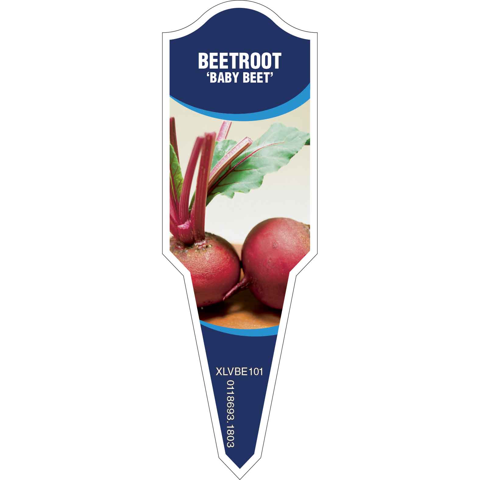 BEETROOT Baby Beet - Egmont Commercial