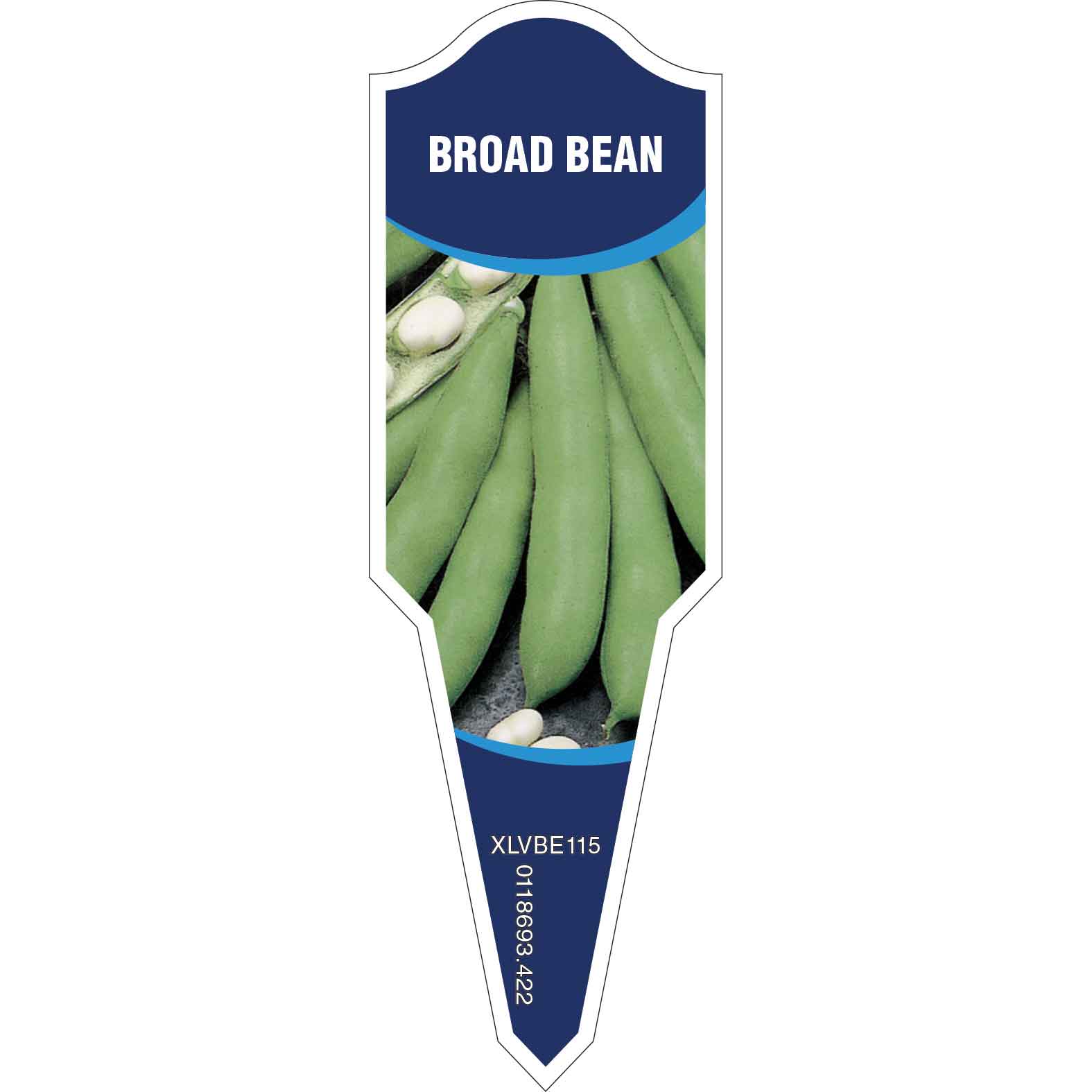 BEAN Broad - Egmont Commercial