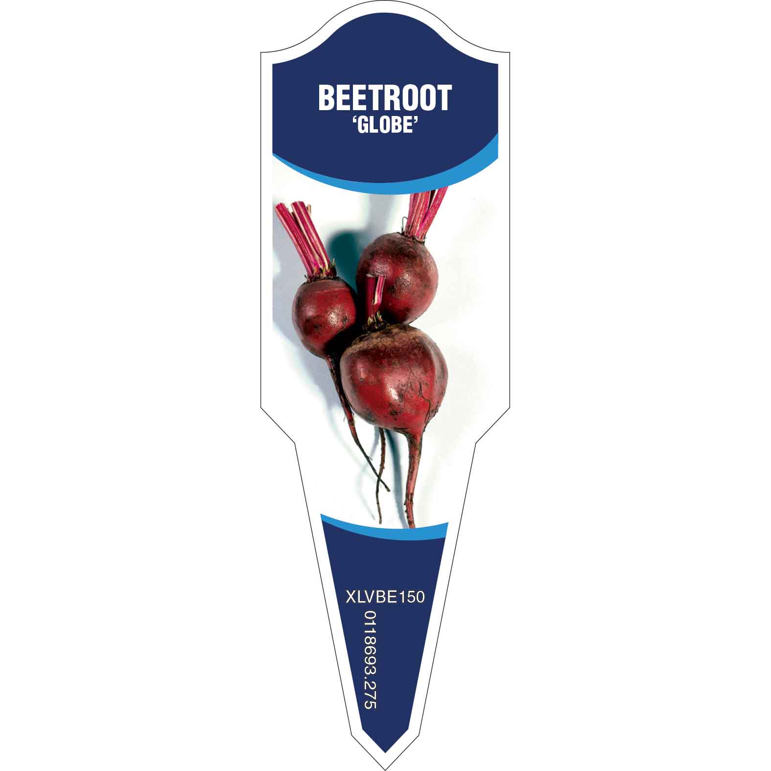 BEETROOT Globe - Egmont Commercial