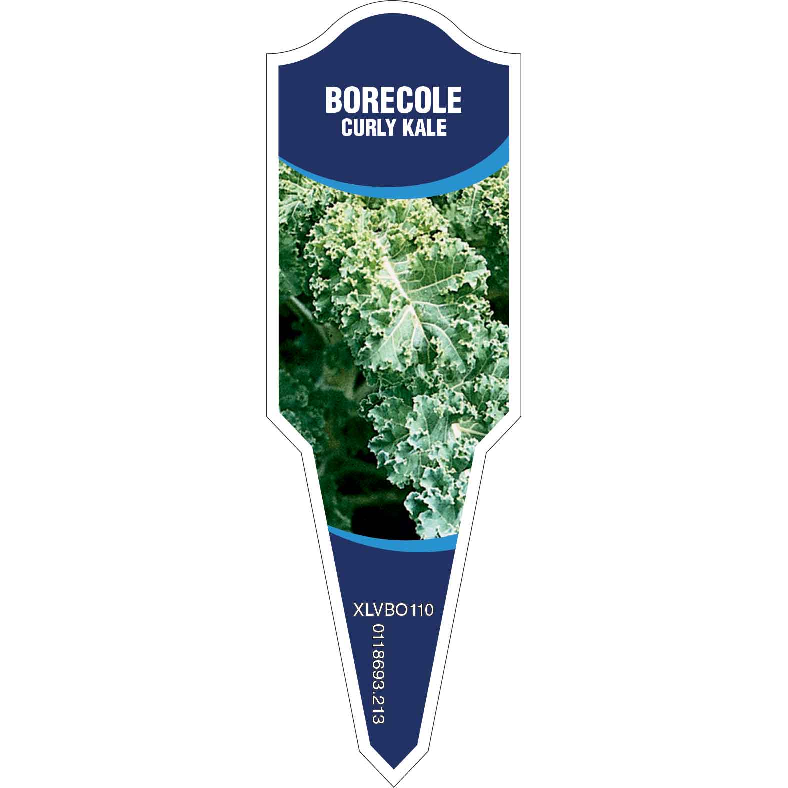 BORECOLE Curly Kale - Egmont Commercial