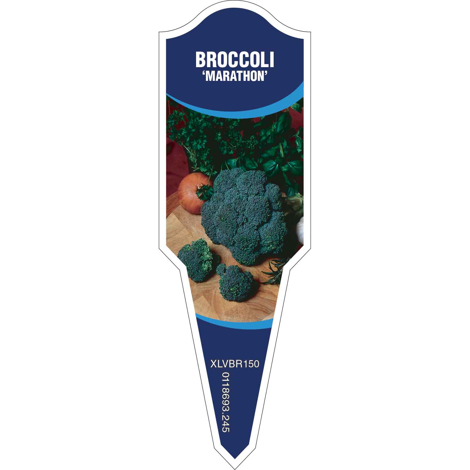 BROCCOLI Marathon - Egmont Commercial