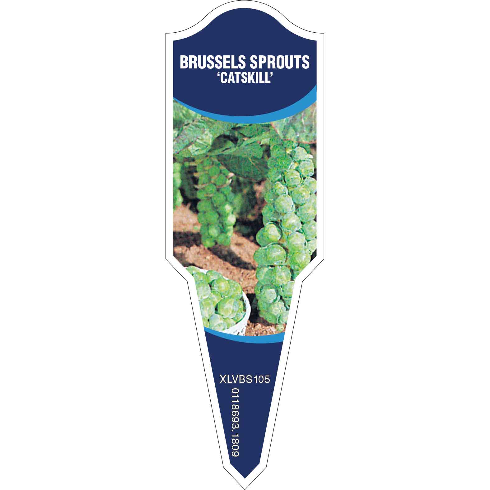 BRUSSEL SPROUTS Catskill - Egmont Commercial