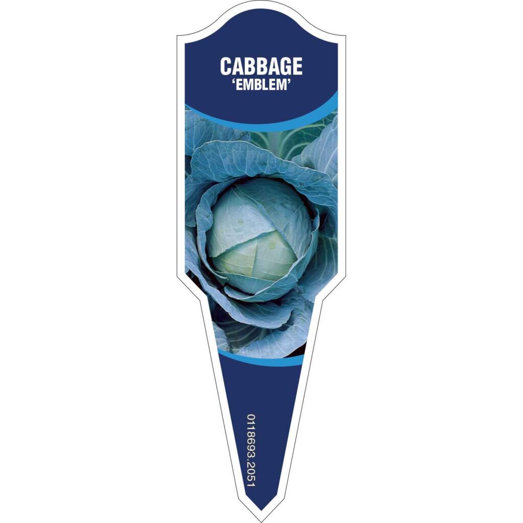 CABBAGE Emblem - Egmont Commercial
