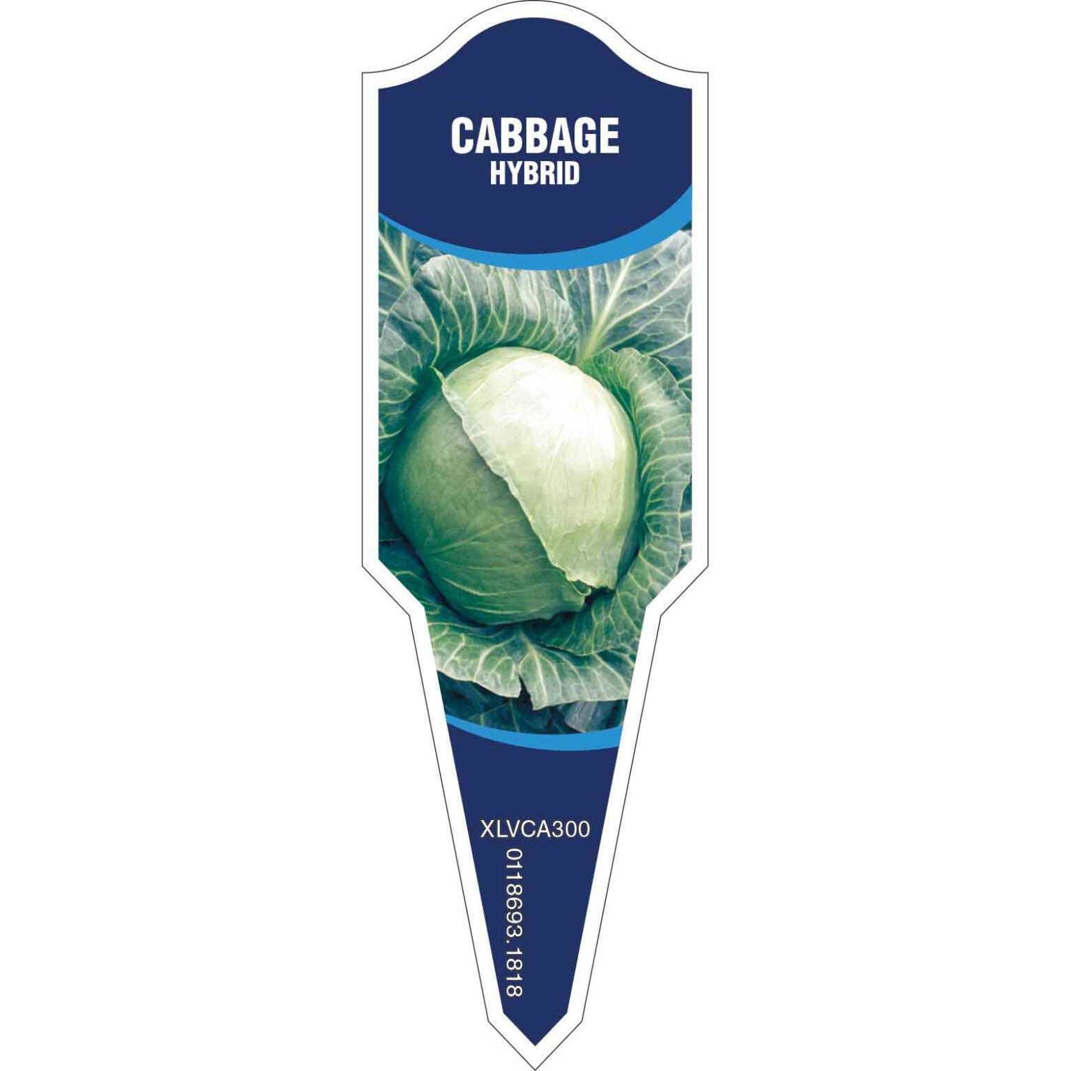 CABBAGE Hybrid - Egmont Commercial