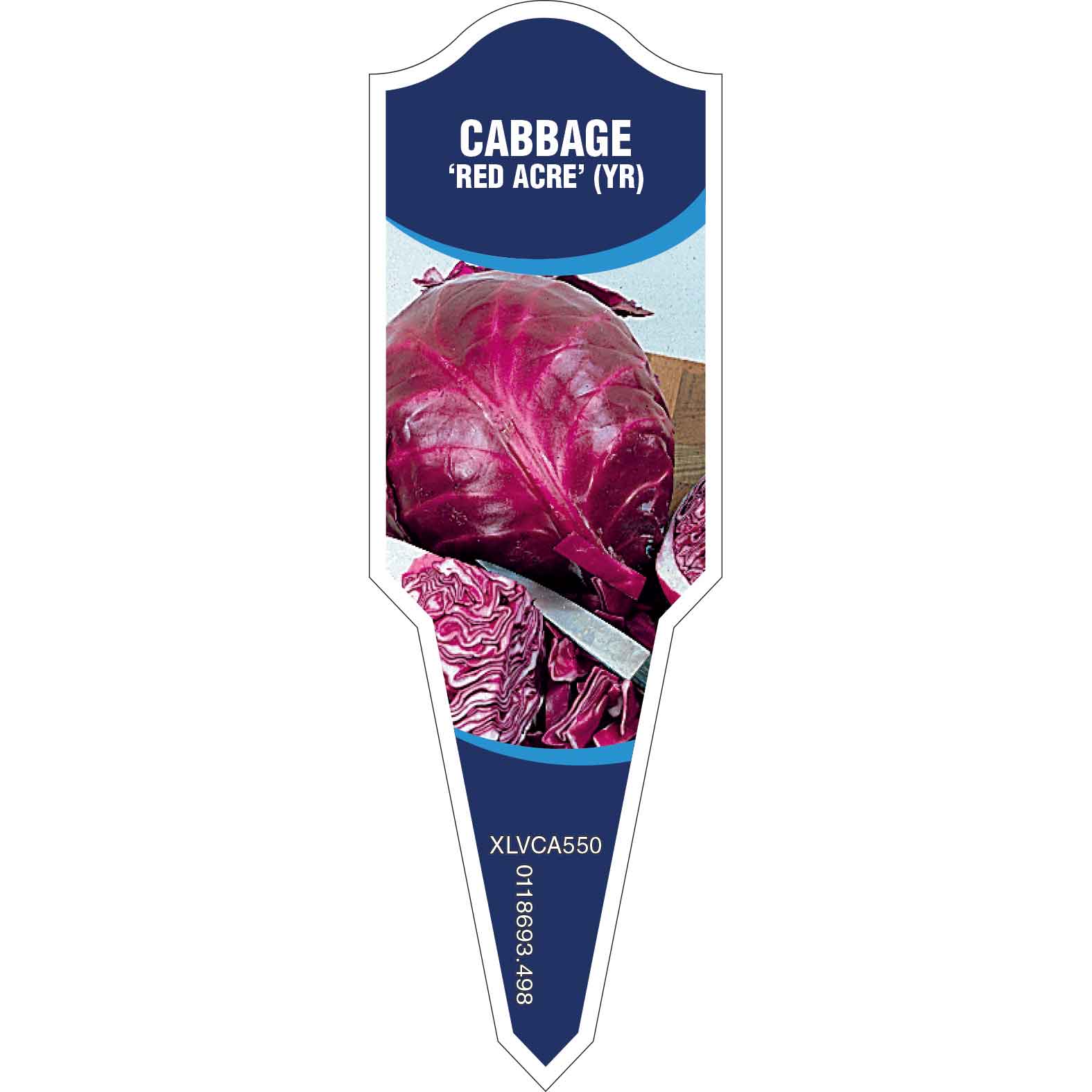 CABBAGE Red Acre - Egmont Commercial