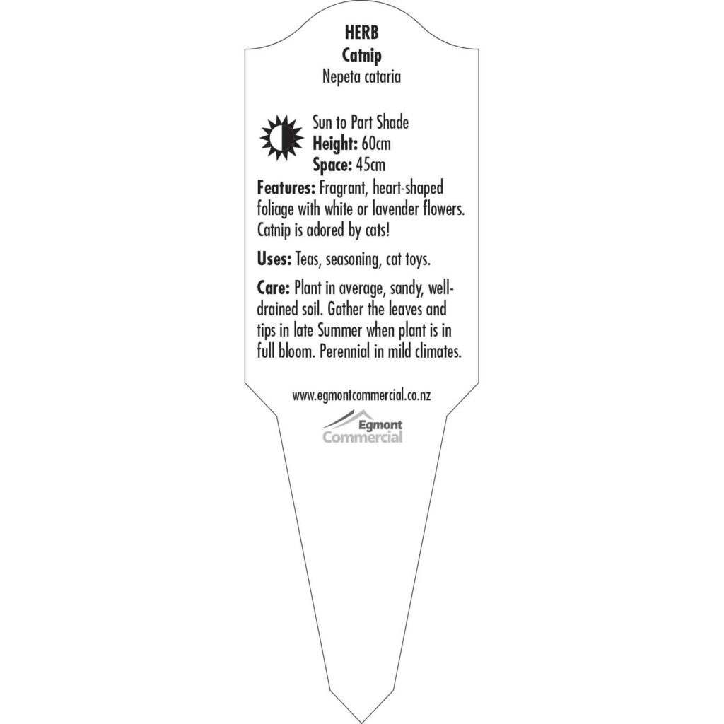 CATNIP - Egmont Commercial