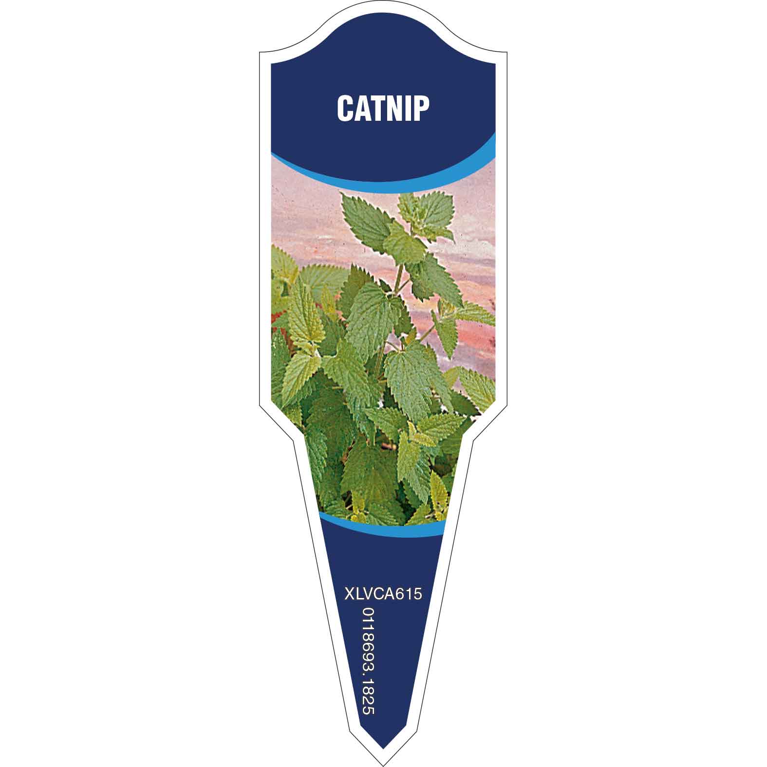 CATNIP - Egmont Commercial